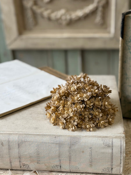 Farrah Floret Half Sphere | 5" | Drift | NOT CURRENTLY IN STOCK-New Fo ...
