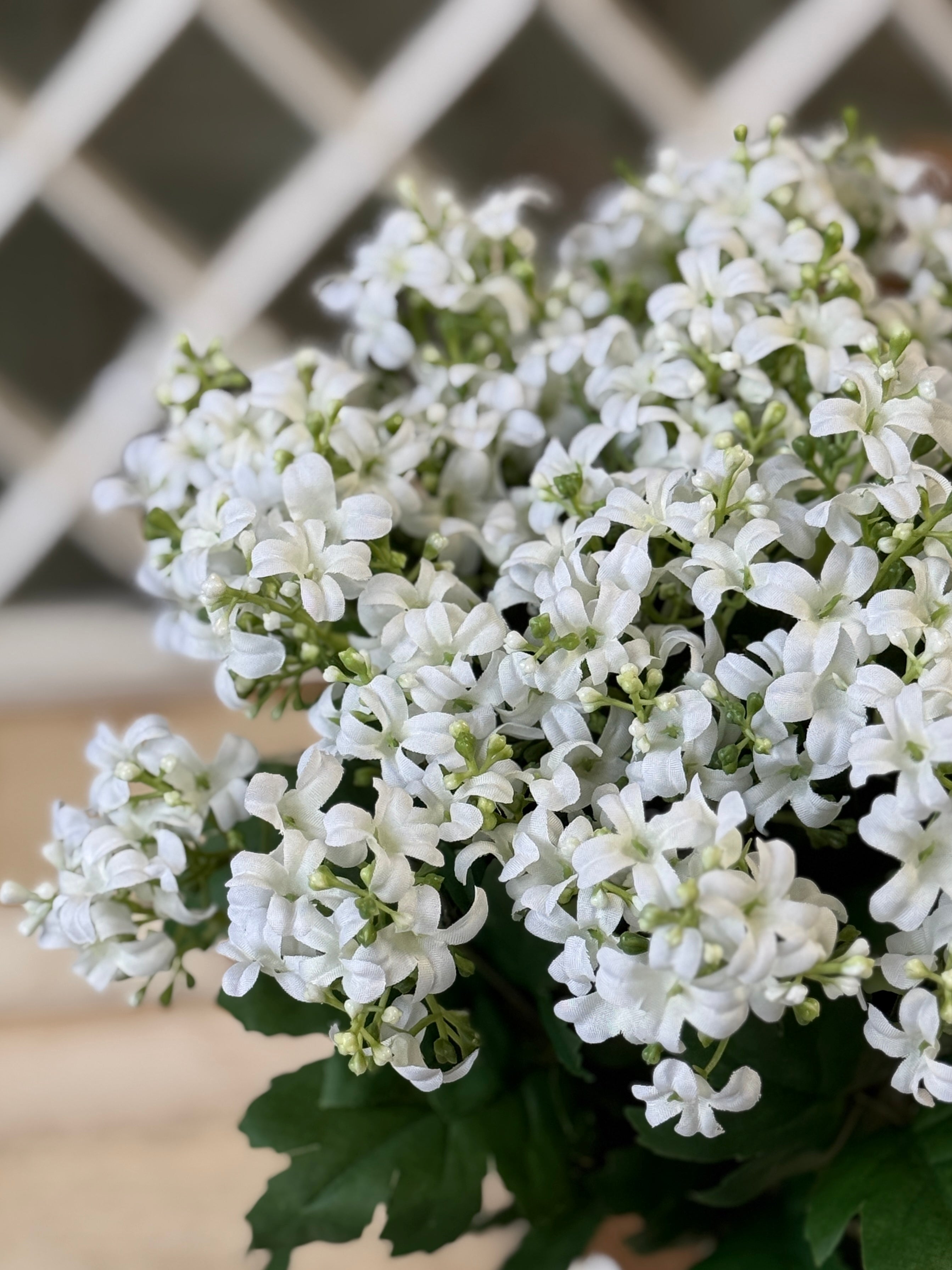 Hepburn Lilac Bush | 17" | Cream | NOT CURRENTLY IN STOCK-New For Spri ...