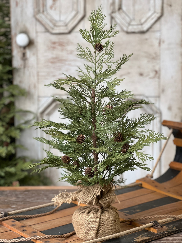 North Rim Hemlock Tree | 24" | NOT CURRENTLY IN STOCK - Holiday 2026 ...
