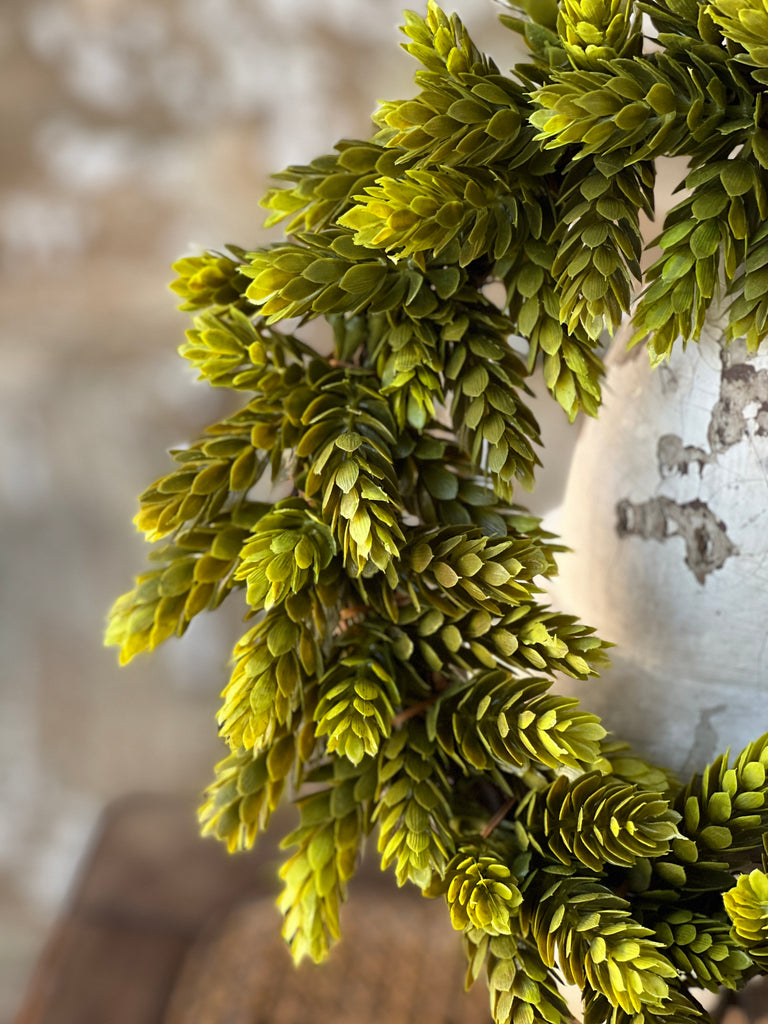 Hops Bush | 15" | Beige | NOT CURRENTLY IN STOCK - ETA June - Lancaster ...