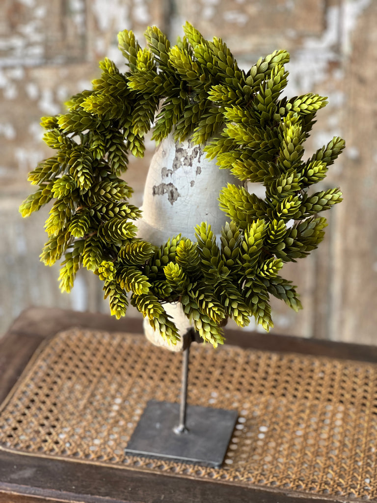 Hops Bush | 15" | Beige | NOT CURRENTLY IN STOCK - ETA June - Lancaster ...